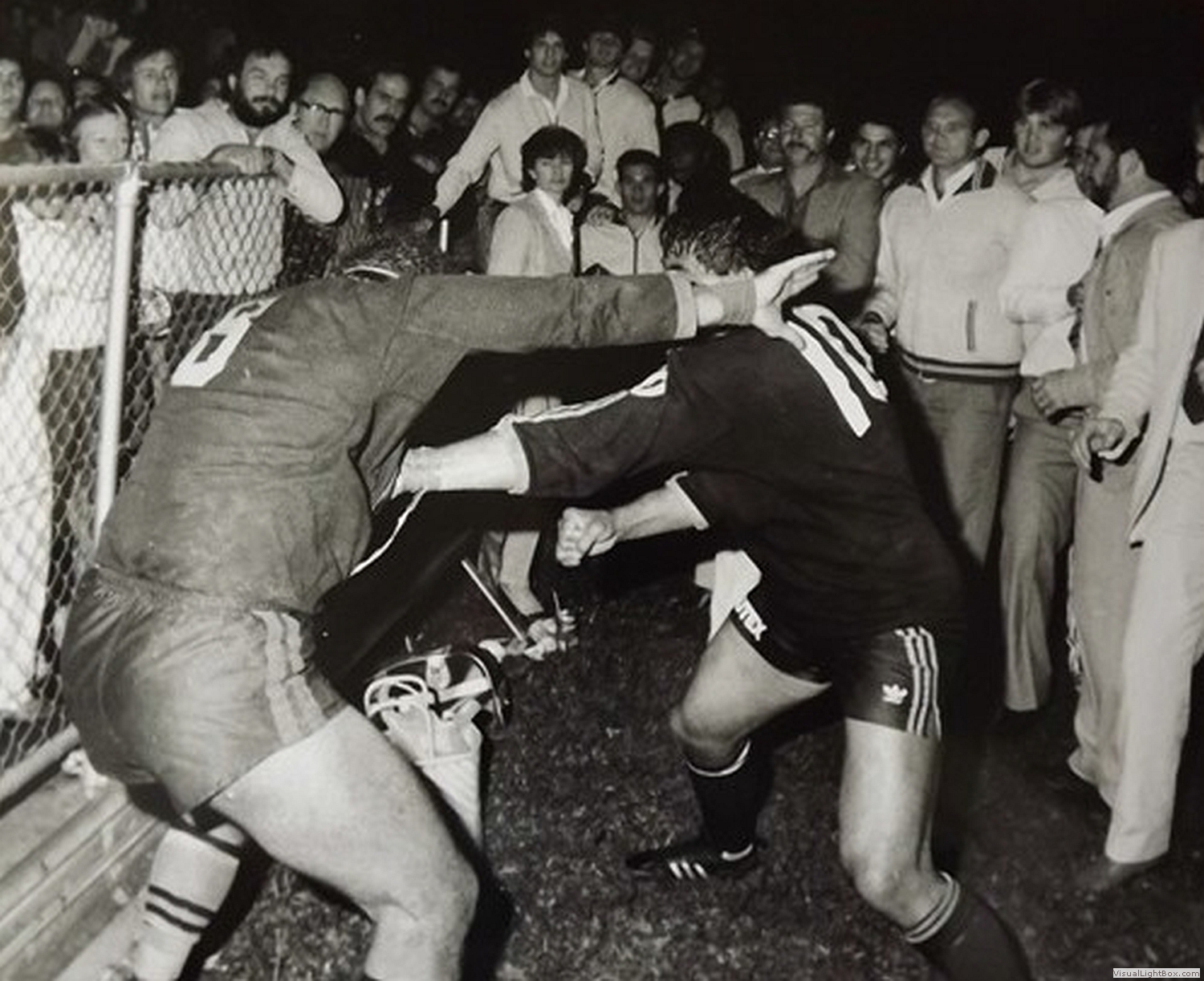 Brisbane Test Matches – Welcome to Roger's Website